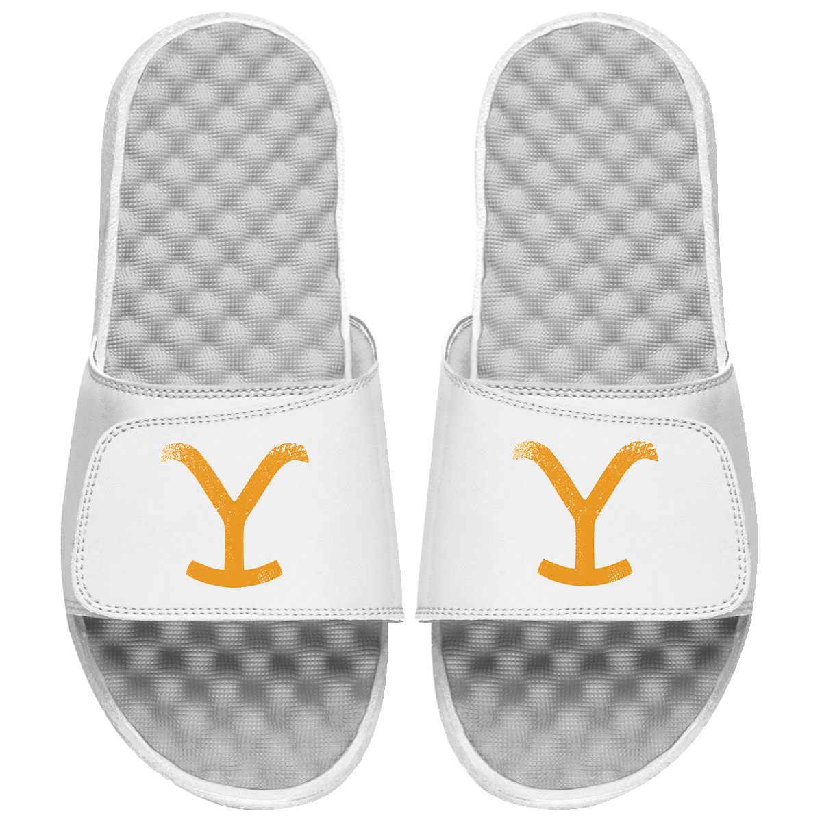 Yellowstone Distressed - ISlide