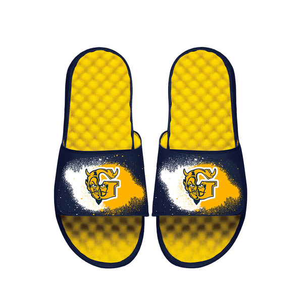 Gaylord Spray Paint PERSONALIZE Slides - ISlide