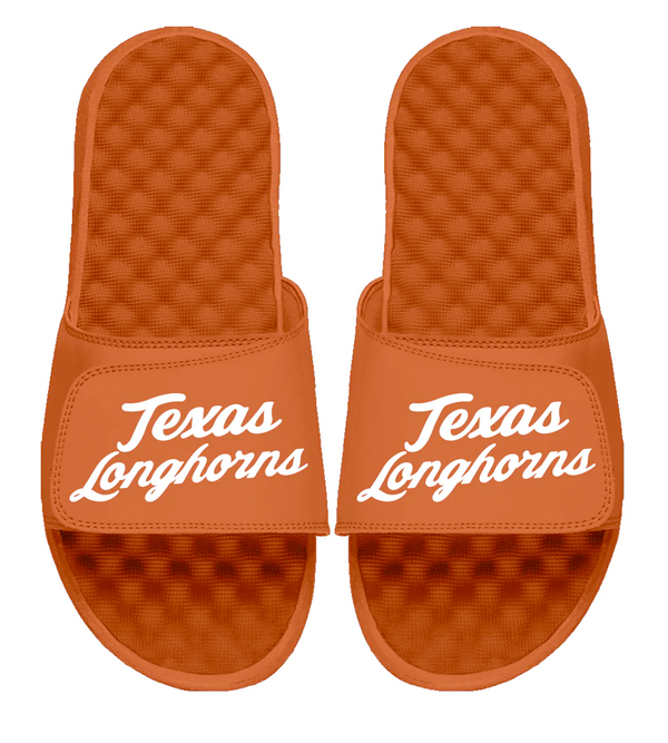 Texas Wordmark Graphic Slides - ISlide