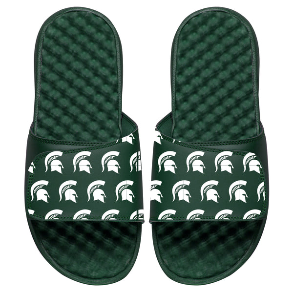 Michigan State Pattern Slides - ISlide